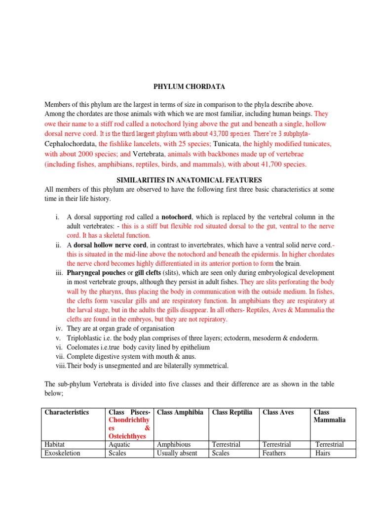 Bio 112 (Phylum Chordata) - 1 | PDF | Vertebrates | Zoology