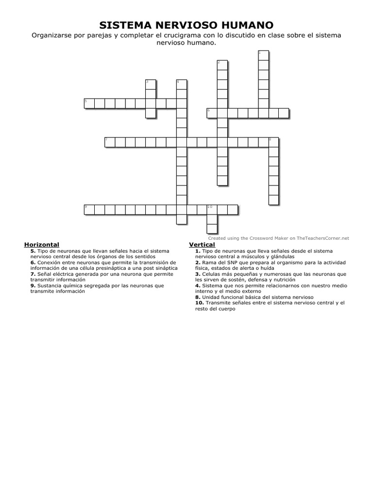 Crucigrama Sistema Nervioso | PDF