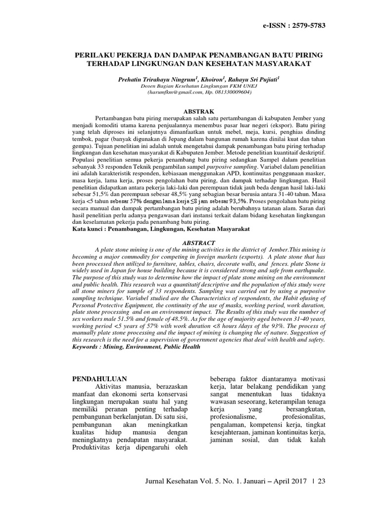 Jurnal Efek Batu Piring Bagi Kesehatan Masyarakat PDF | PDF | Kesehatan ...