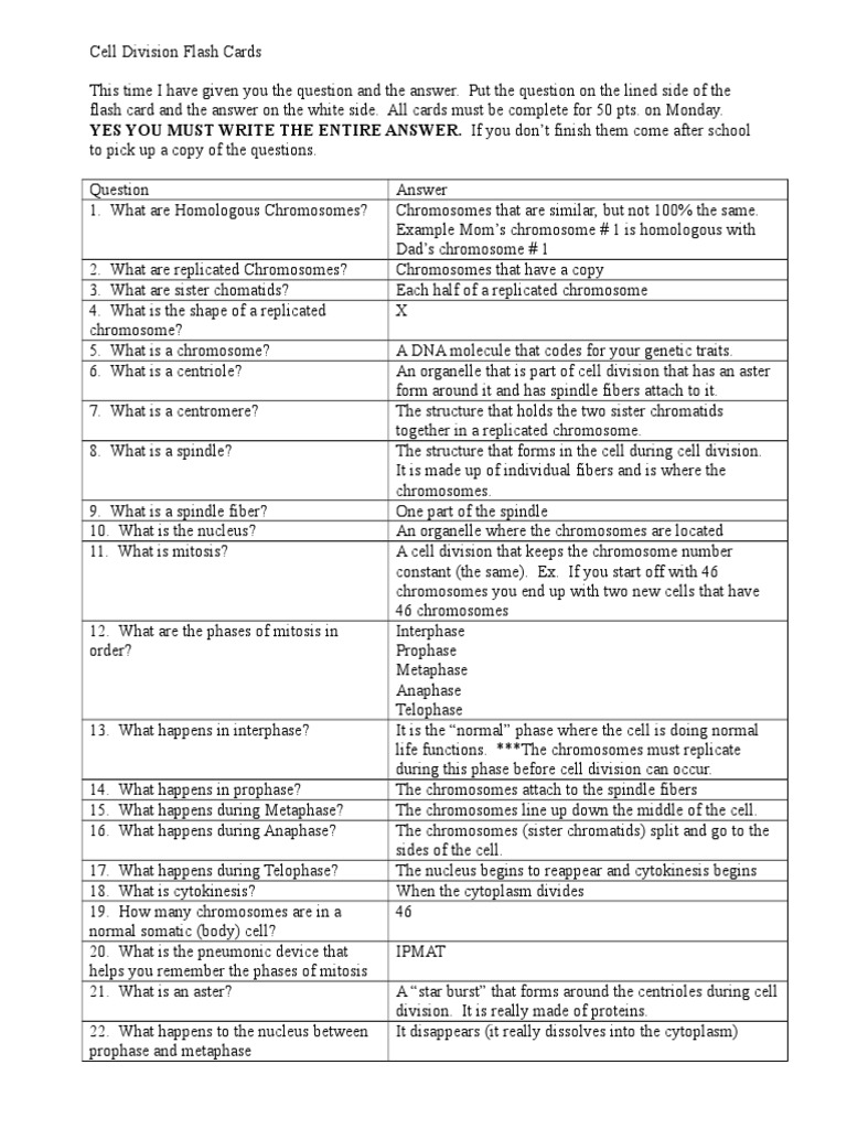 Mitosis Cell Division Flash Cards | PDF | Mitosis | Chromosome