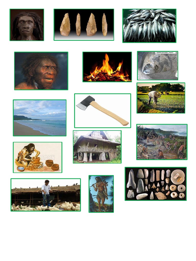 Prehistoric Asia | PDF