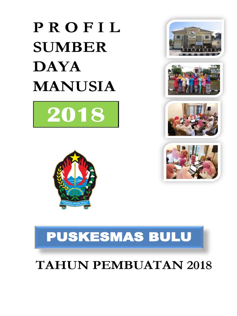 Profil SDMK | PDF | Pengembangan Diri | Kesehatan Holistik