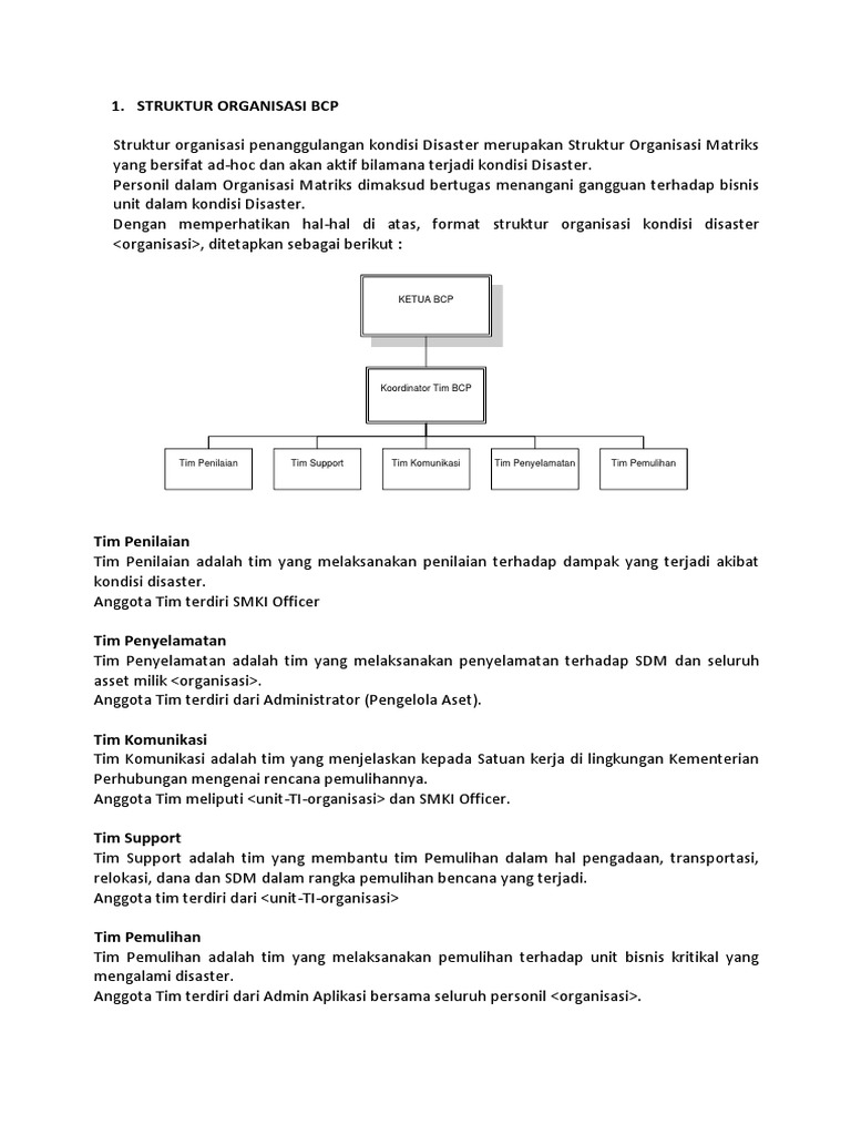 Contoh Struktur Tim BCP v02 | PDF