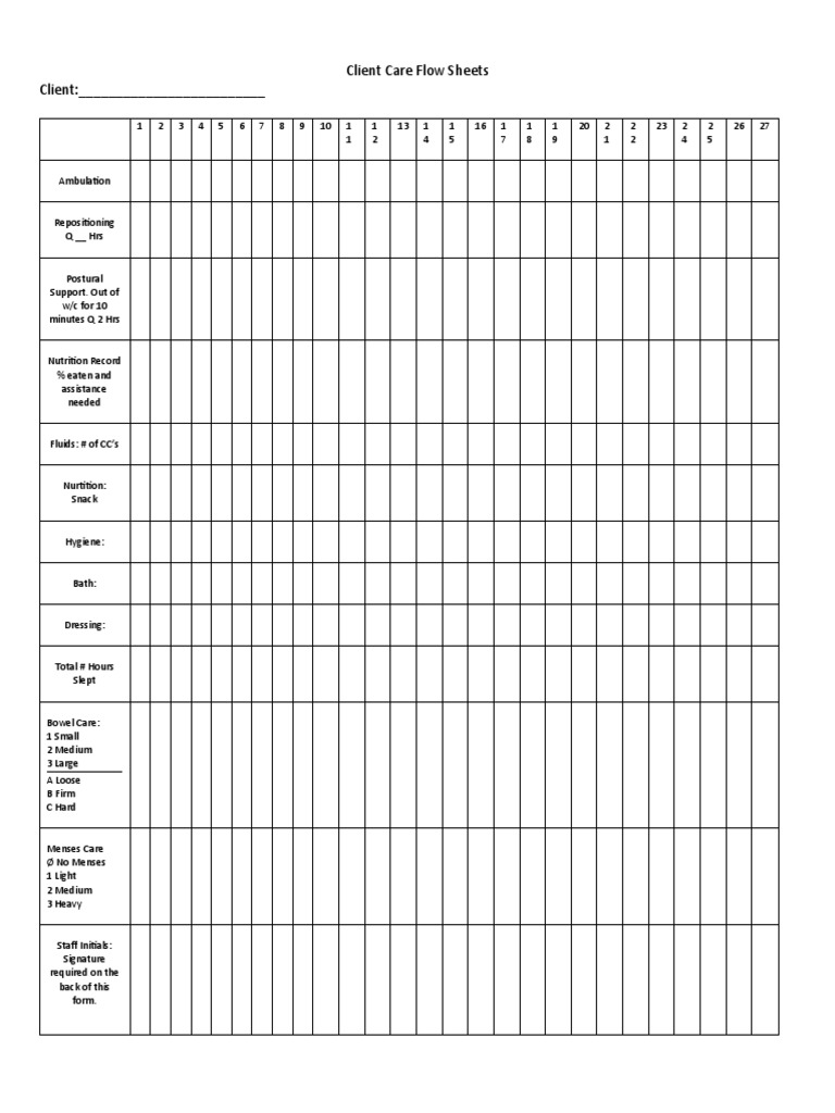 Client Care Flow Sheets | PDF | Technology & Engineering