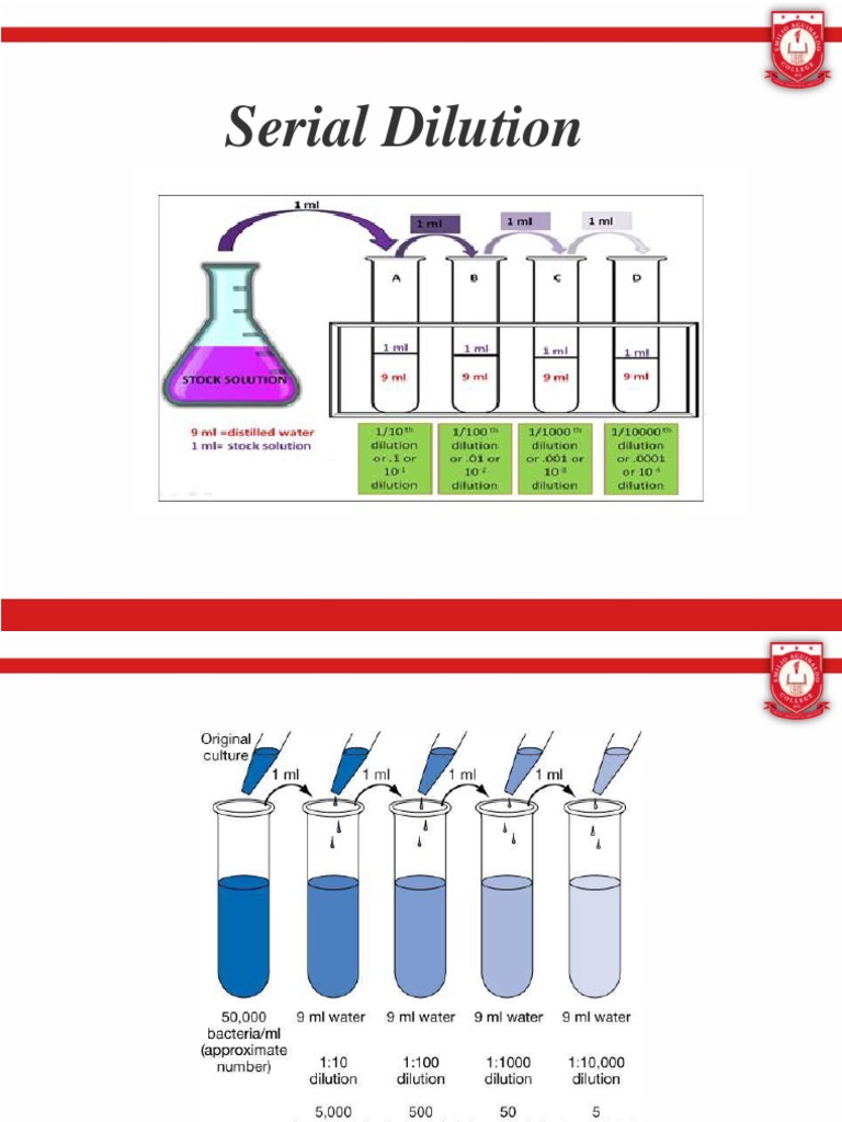 Calculating Serial Dilution Factors: A Step-by-Step Guide to Performing ...
