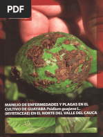 Manual para El Establecimiento de Una Huerta de Aguacate | PDF | Aguacate | Fertilizante