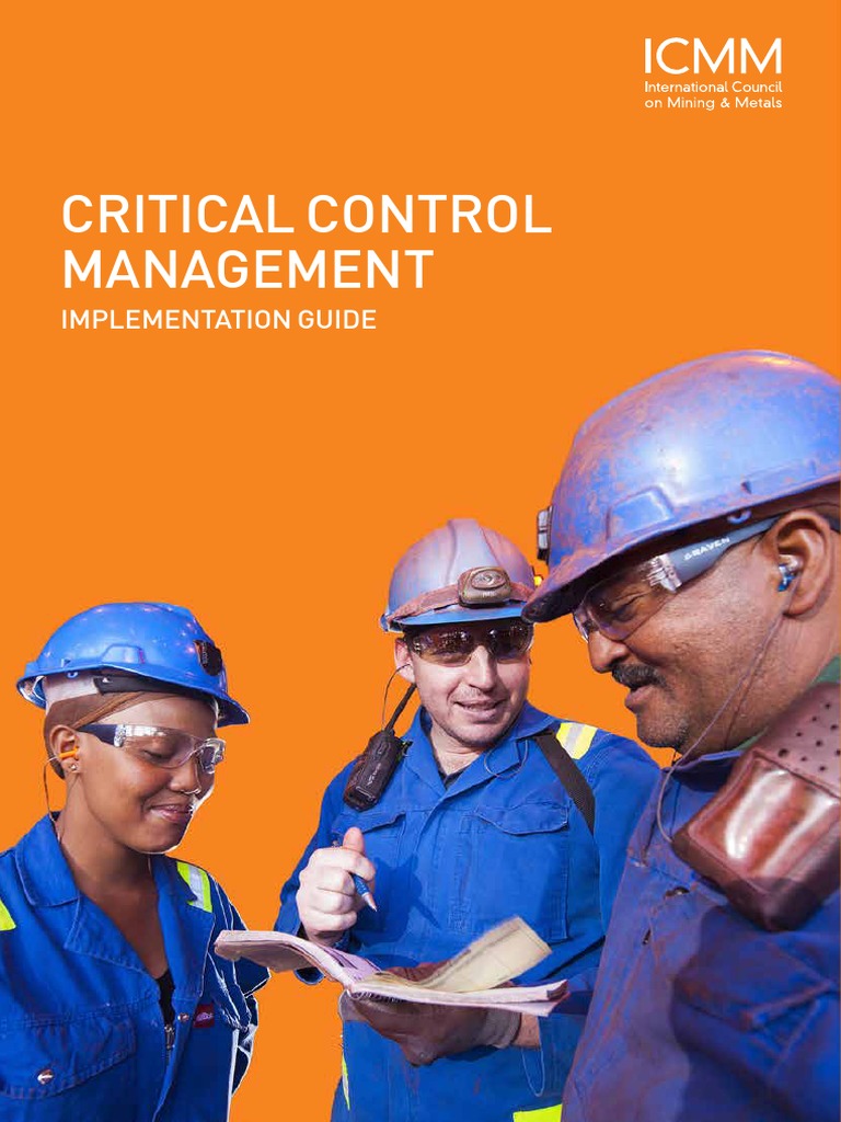 Ciccm Control Critico | PDF | Risk Management | Governance