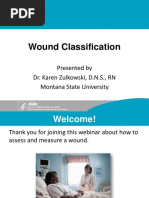 EPUAP Pressure Ulcer Grading Tool | PDF | Skin | Endocrine System