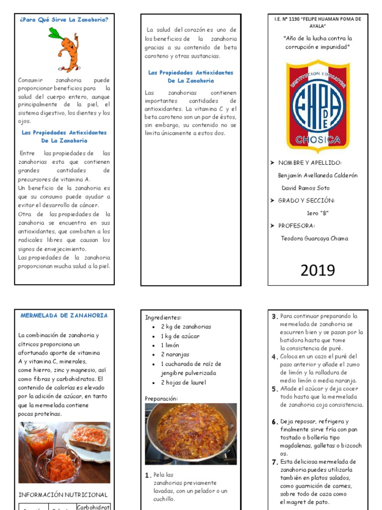 Triptico de Mermelada de Zanahoria | PDF | Antioxidante | Comida y bebida