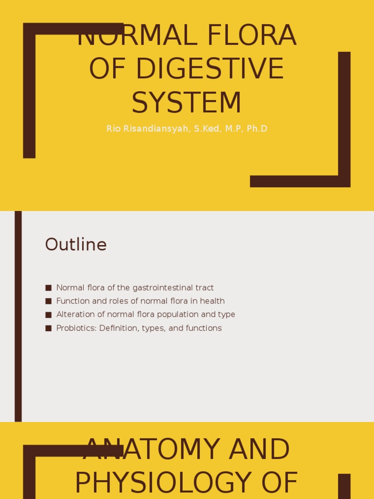 Normal Flora of Digestive System | PDF | Gut Flora | Digestion