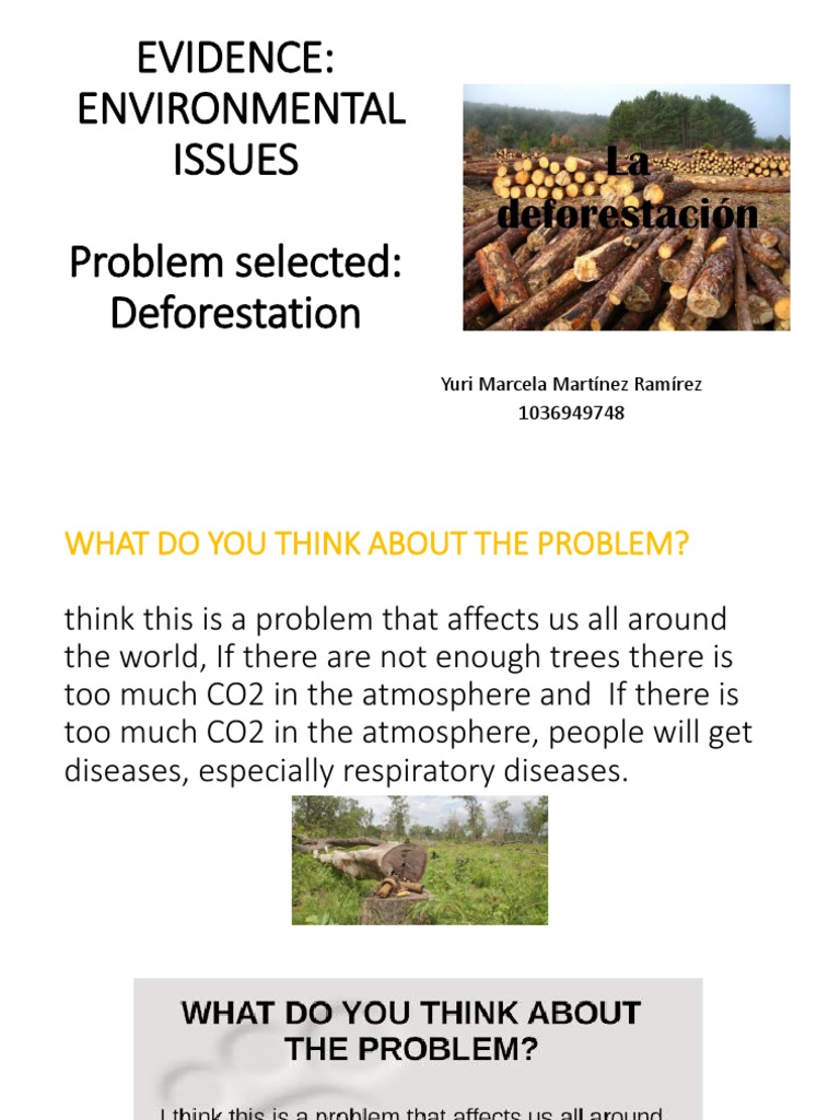 Evidence: Environmental Issues Problem Selected: Deforestation | PDF