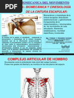 Test Adams | PDF | Escoliosis | Especialidades Medicas