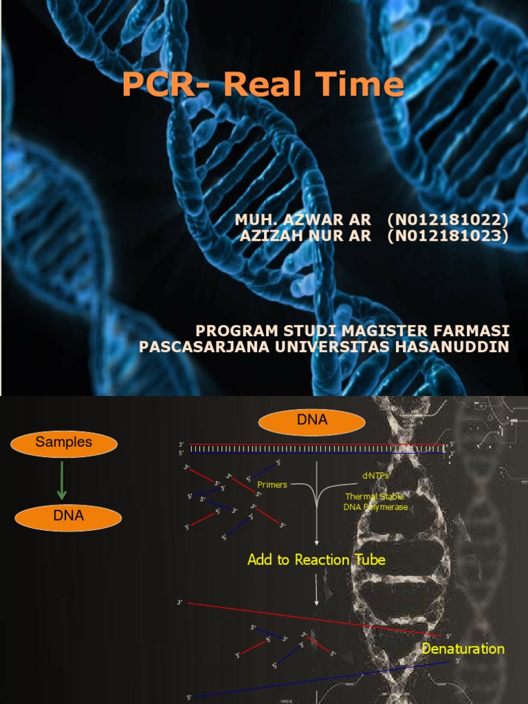 PCR - Real Time | PDF