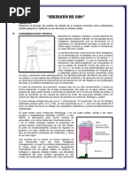 Sublimación del Yodo: Proceso y Experimento | PDF | Yodo | Tiroides
