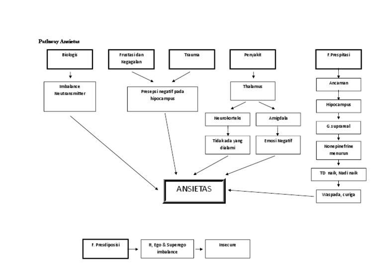 Pathway Ansietas | PDF