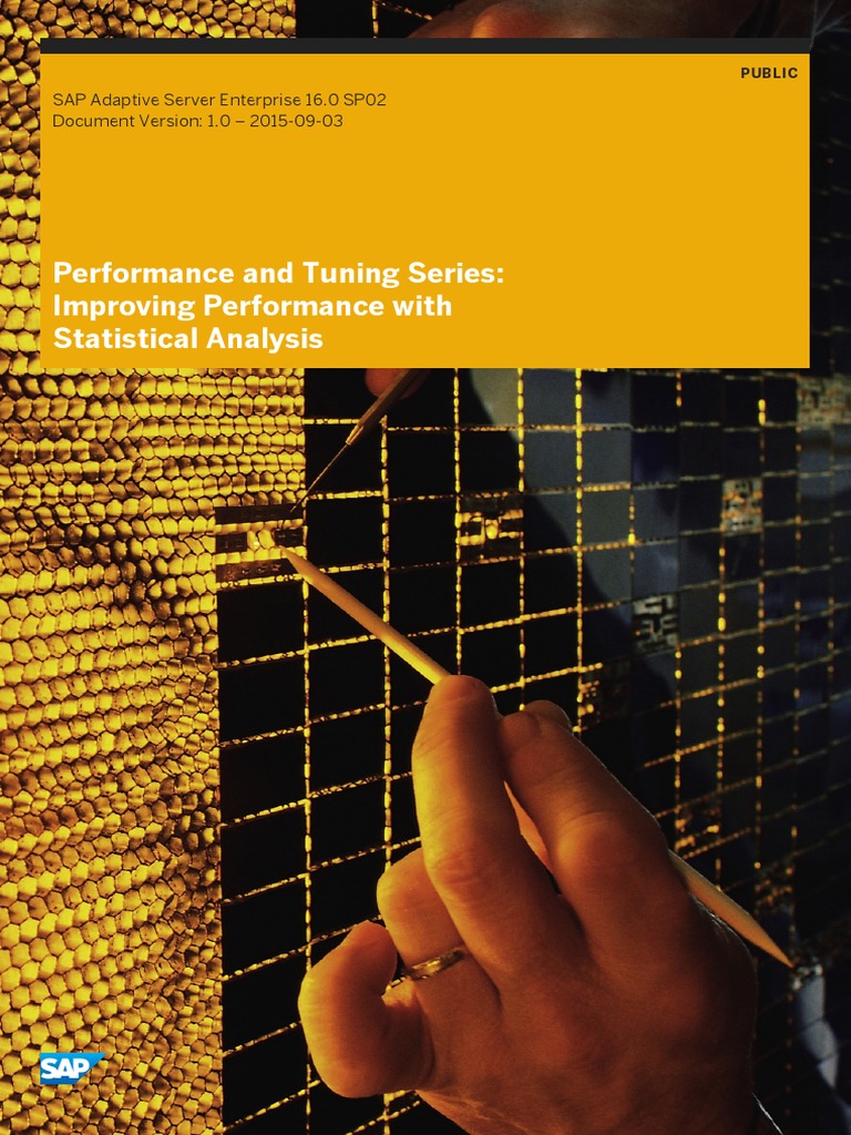 Sap Ase Performance And Tuning Series Improving Performance Statistical Analysis En Pdf Pdf
