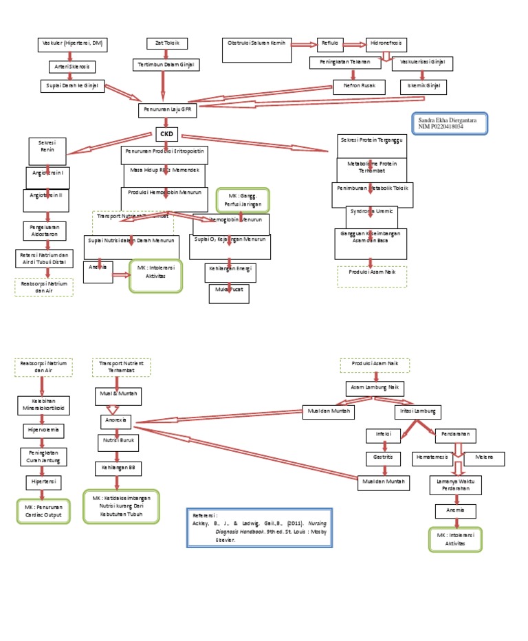 Woc CKD Sandra | PDF