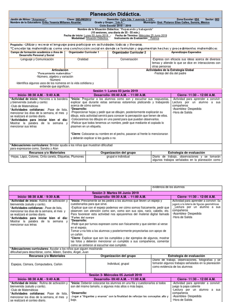 Plan Junio | PDF | Aprendizaje | Planificación