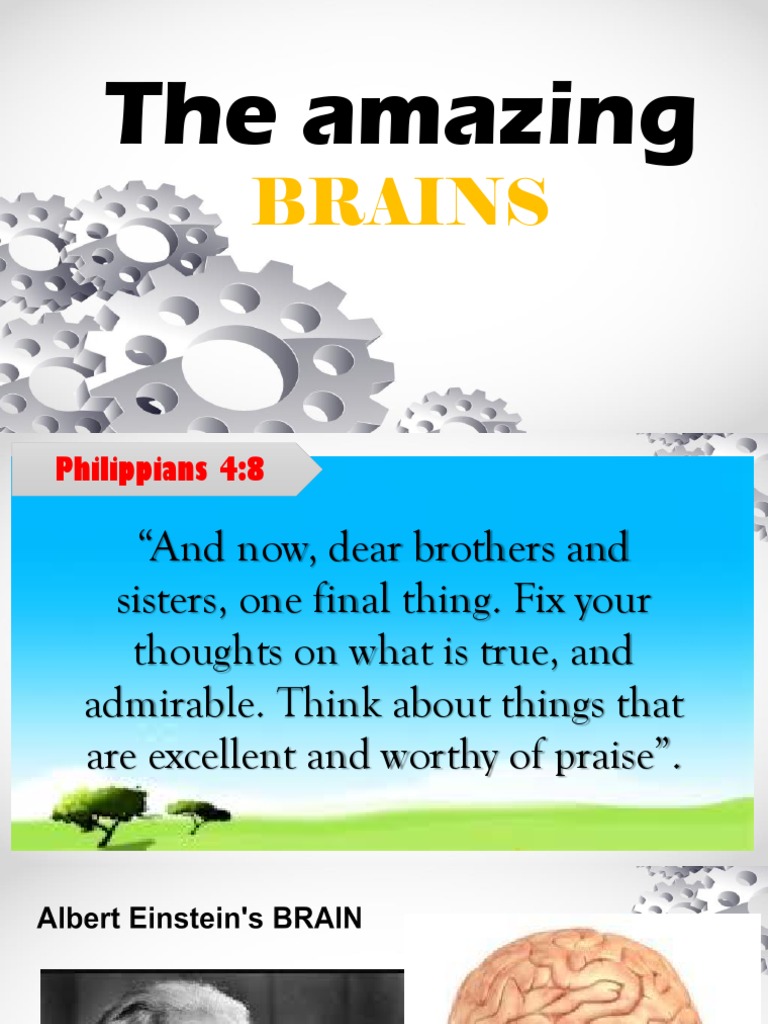 The Amazing Brain | PDF