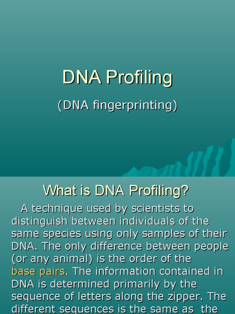 Dnafingerprinting | PDF | Dna Profiling | Polymerase Chain Reaction