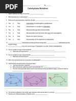 OCR (A) Biology A-Level Module 2 Foundations in Biology Revision - PMT ...