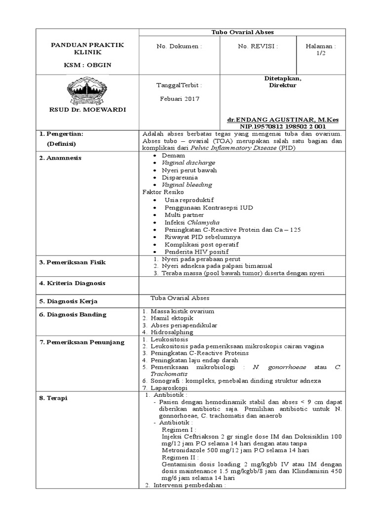 Panduan Abses Tubo-Ovarial Obgin | PDF