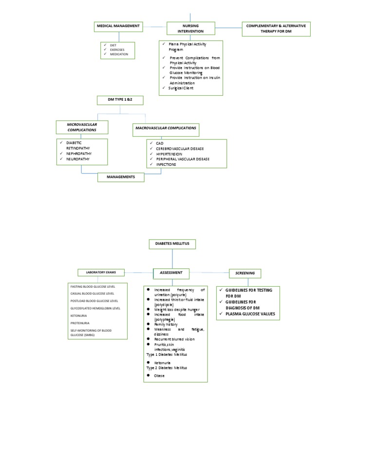 Diabetes Mellitus Concept Map Overview | PDF | Diabetes Mellitus ...