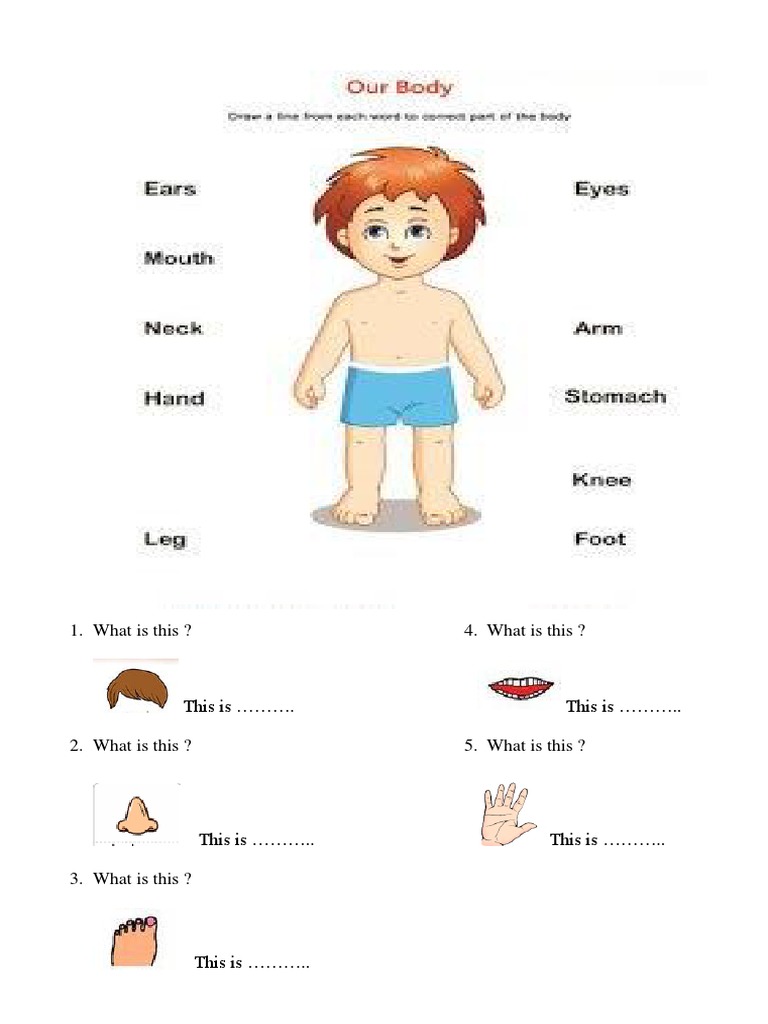 Soal Part of Body | PDF