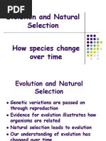 Evolution Station Cards BIOLOGY COMPLETE WORSHEET ASSIGNMENT ANSWERS ...