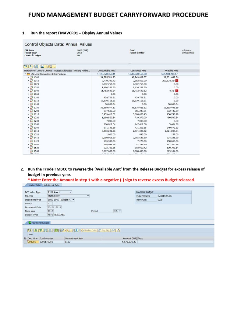 Fund Center Budget Carryforward Procedure | PDF