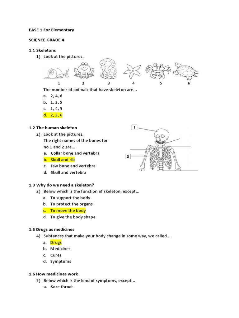 Grade 4 Science: Skeletons and Medicines | PDF | Wellness | Science ...