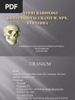 Schepelmann's Test for Thoracic Pain | PDF | Shoulder | Spinal Cord