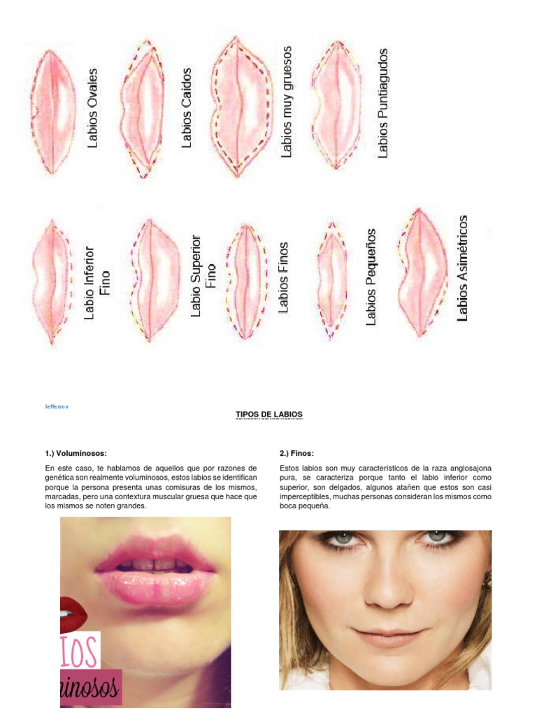 Tipos de Labios | PDF