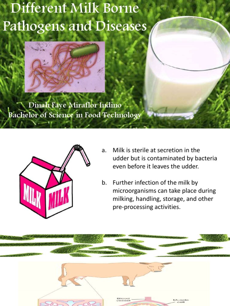 Pathogenesis in Milk | Download Free PDF | Microbiology | Immunology