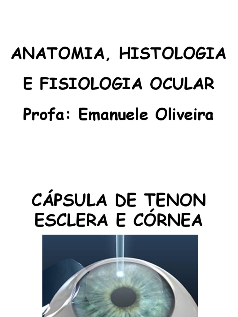 Optometria - Aula 13 e 14 - Cápsula de Tenon, Esclera e Córnea | PDF ...