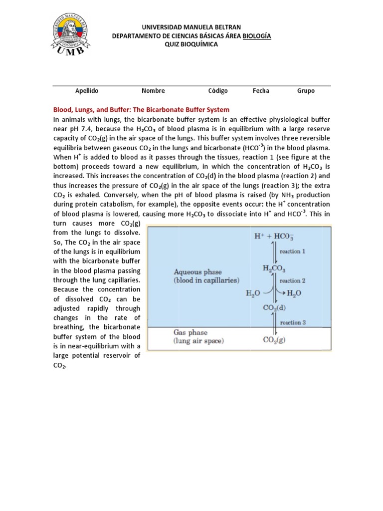 Carbonate Buffer | PDF | Buffer Solution | Bicarbonate