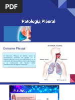 Deterioro Rostrocaudal: Etiología | PDF | Medicina | Sistema nervioso
