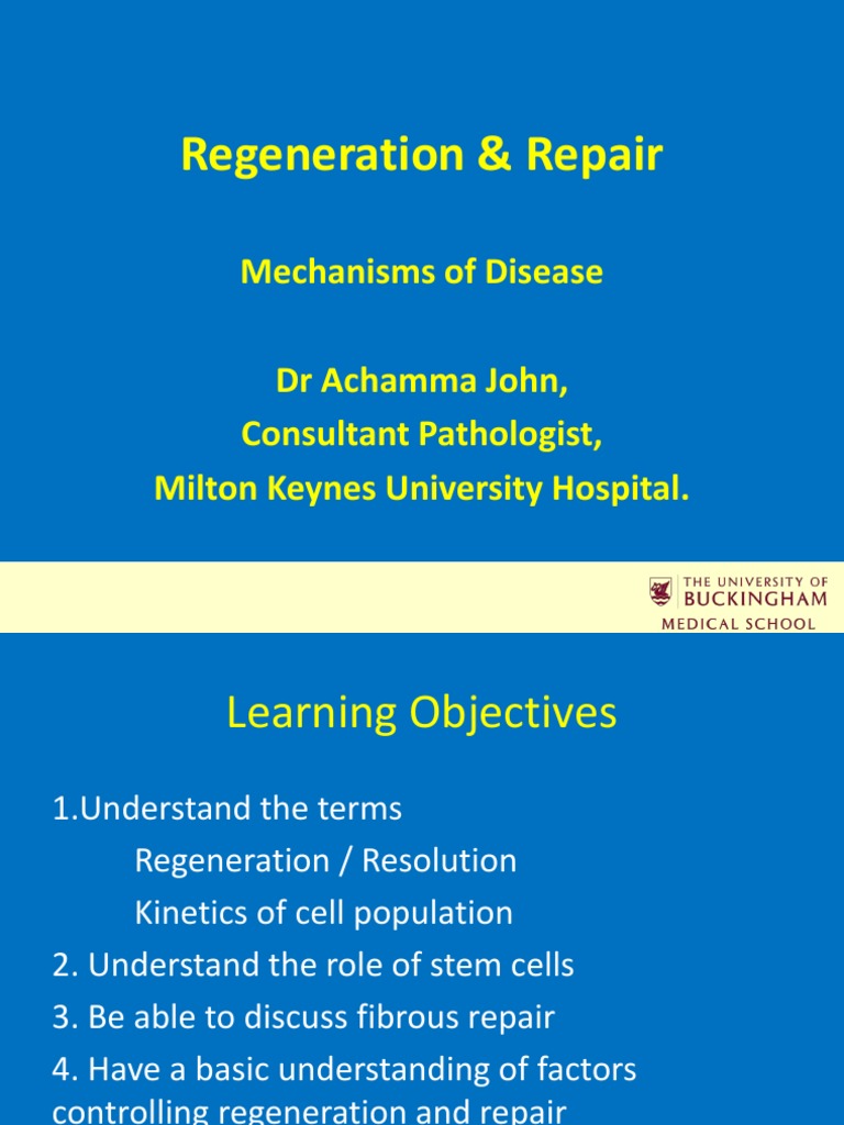 Regeneration & Repair: Mechanisms of Disease Dr Achamma John ...