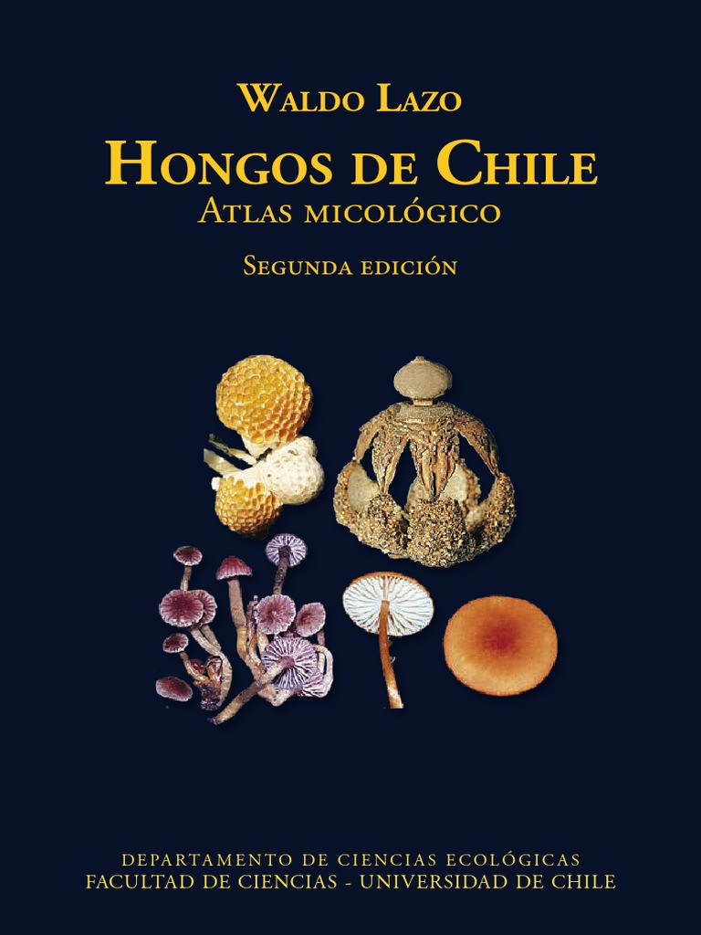 Hongos de Chile | PDF | Hongo | Espora