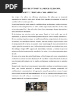 Raza Caprina Anglo-Nubian: Características y Cuidados | PDF | Cabra | Leche