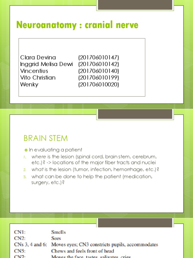 Neuroanatomi Nervus Kranial | PDF | Brainstem | Nervous System