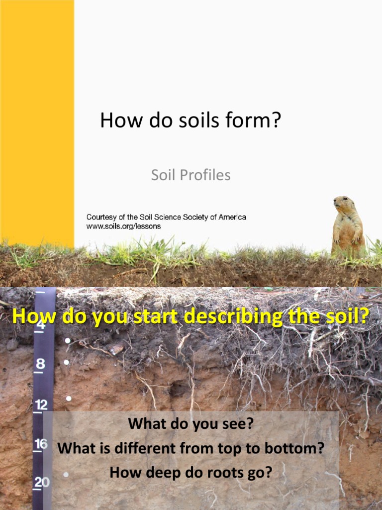 How Do Soils Form?: Soil Profiles | PDF | Soil | Natural Materials