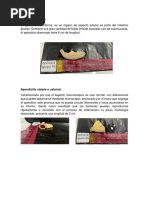 Función y Estructura de Criptas de Lieberkühn | PDF
