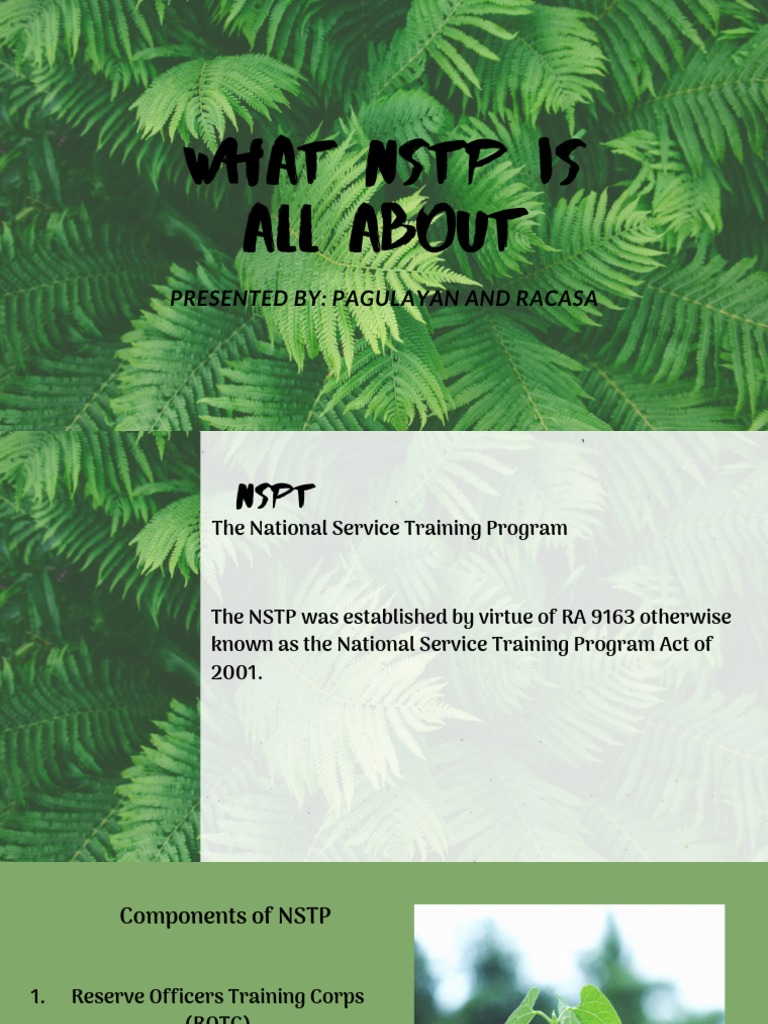 What NSTP Is All About PDF | PDF