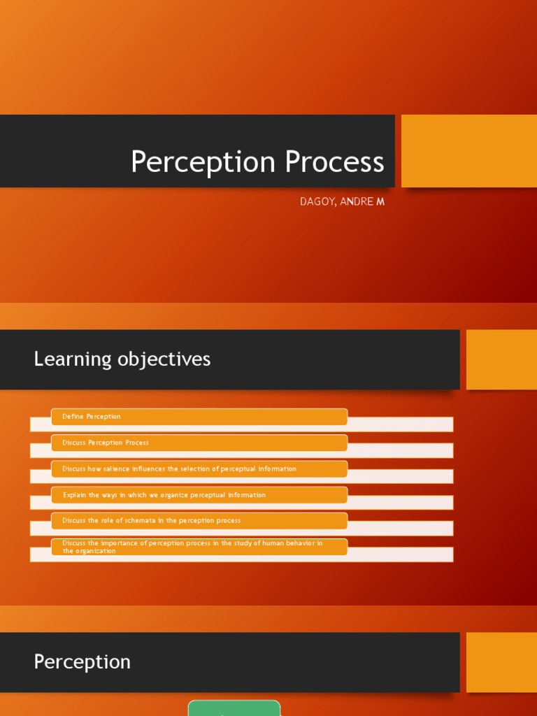 Perception Process: Dagoy, Andre M | PDF | Schema (Psychology) | Perception
