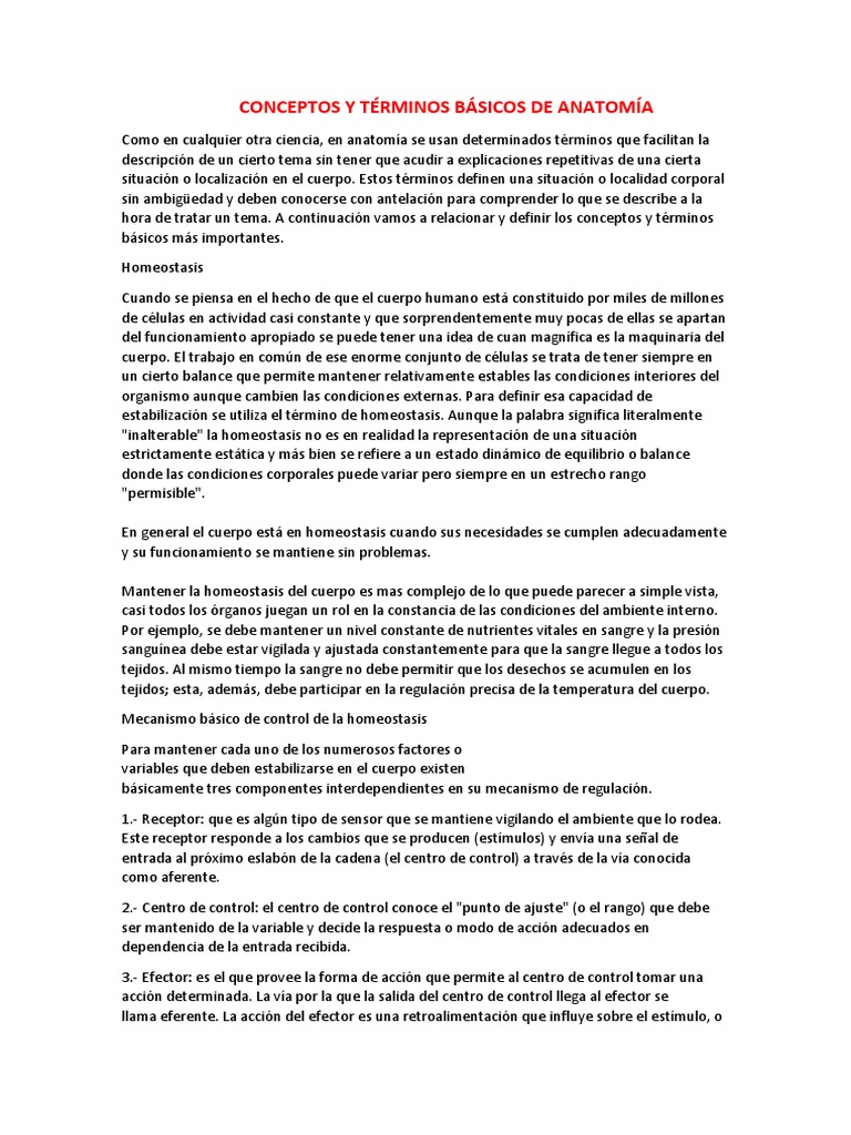 Conceptos y Términos Básicos de Anatomía | Términos anatómicos de ...