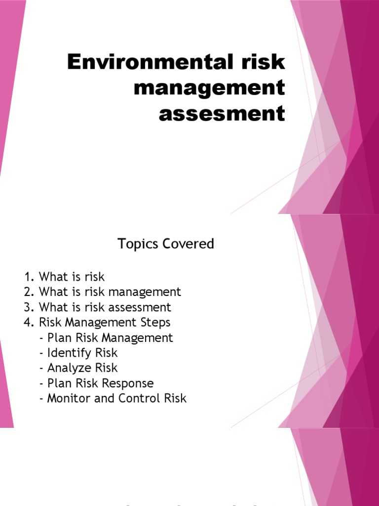 Environmental Report | PDF