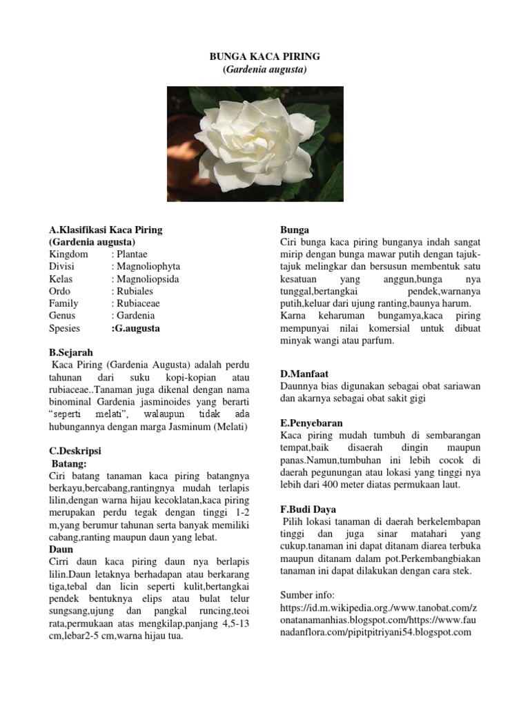 BUNGA KACA PIRING (Budi Daya) | PDF