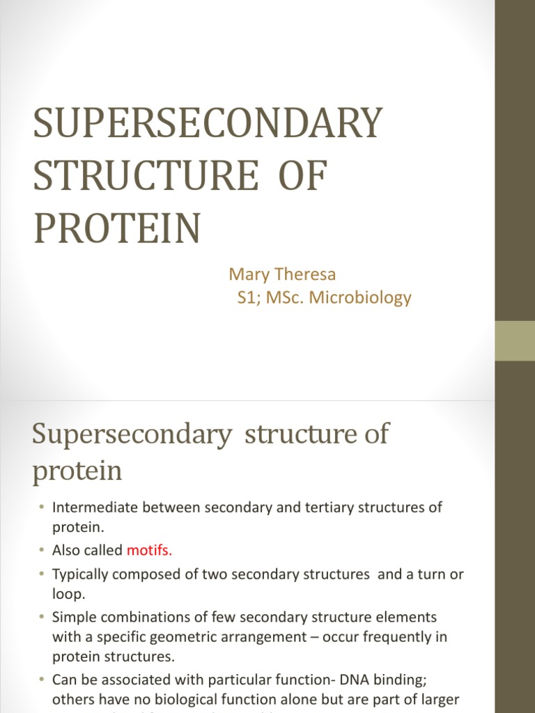 Protein Structure Motifs Guide | PDF | Beta Sheet | Alpha Helix