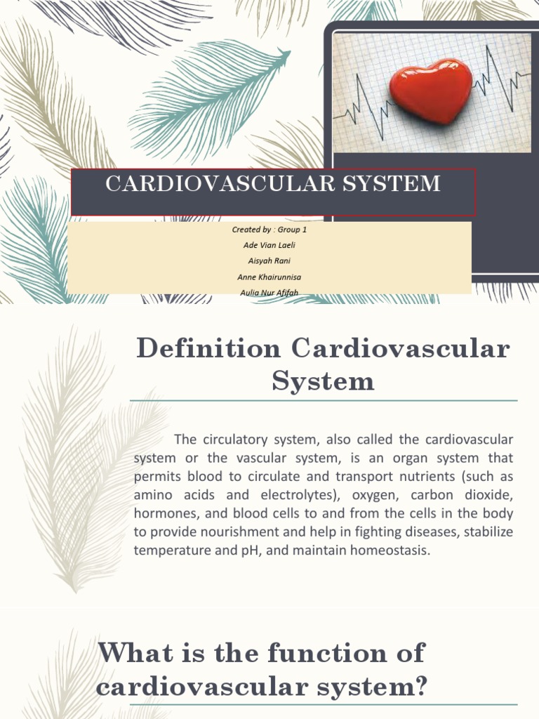 Cardio | Download Free PDF | Circulatory System | Heart